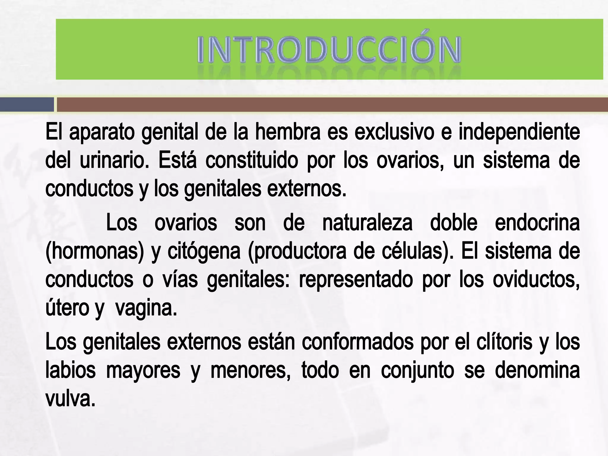APARATO REPRODUCTOR DE LA HEMBRA EN ANIMALES | PPTX