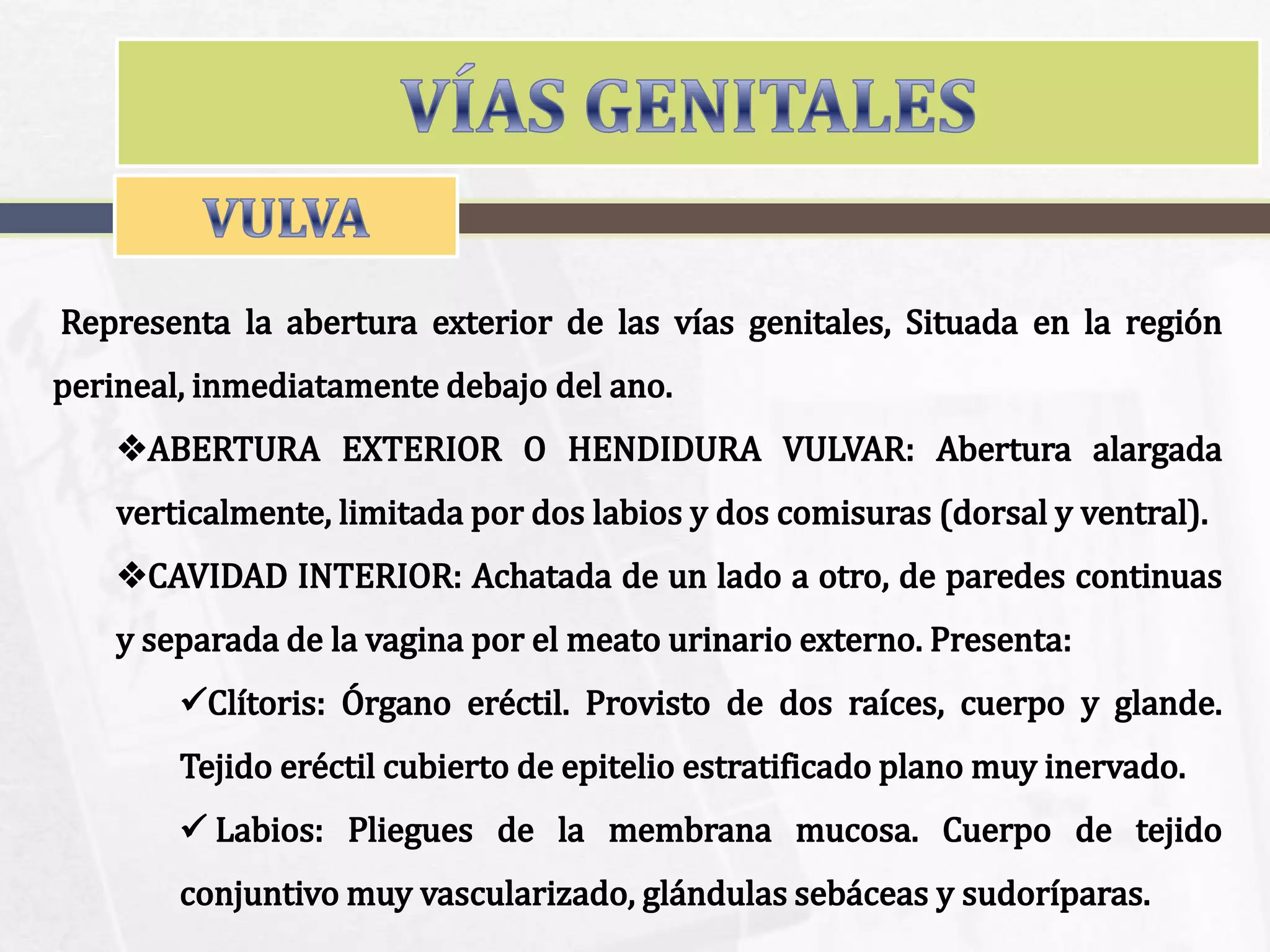 APARATO REPRODUCTOR DE LA HEMBRA EN ANIMALES | PPTX