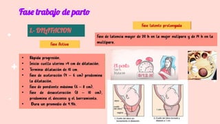 Exposicion Fases y mecanismos de trabajo de parto. Ivania Flores-2.pdf