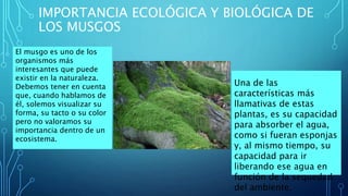 musgos y liquenes | PPTX