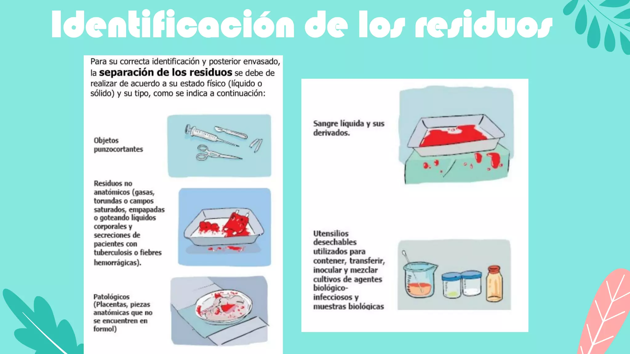 Evento Adverso, 8 acciones esenciales para la seguridad del paciente | PDF