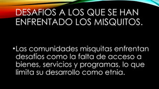 EXPOSICION SOBRE LOS MISQUITOS Y LOS TAWAHKSAS. | PPTX