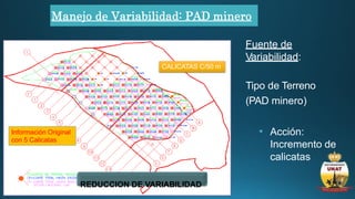EXPOSICION II - VARIABILIDAD modificado.pdf