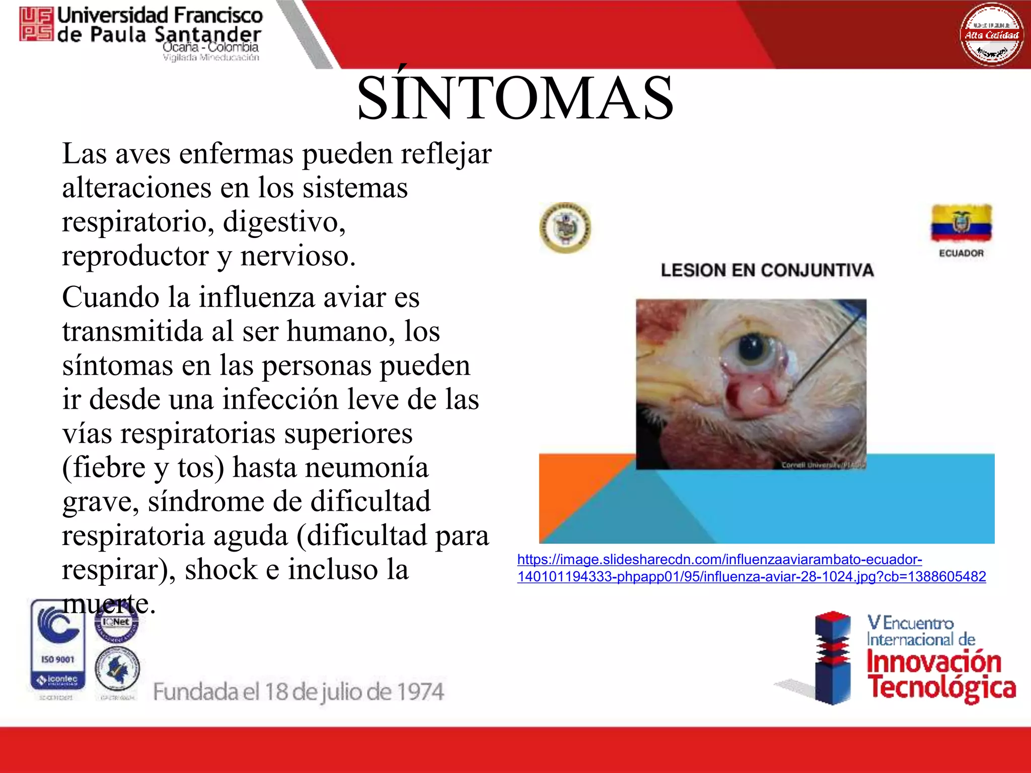 EXPOSICION INFLUENZA AVIAR.pptx