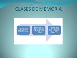 Exposicion la memoria | PPTX