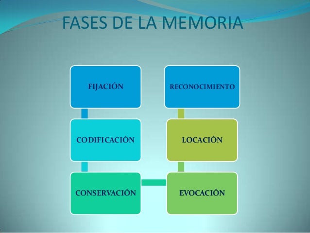 Exposicion la memoria