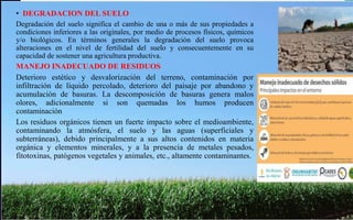 EXPOSICION MATERIA ORGANICA DEL SUELO.ppt