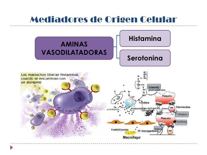 Mediadores de la Inflamacion