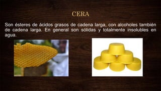 cera y su importancia biológica | PPTX