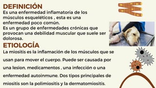 exposición miositis.pptx