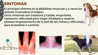 exposición miositis.pptx