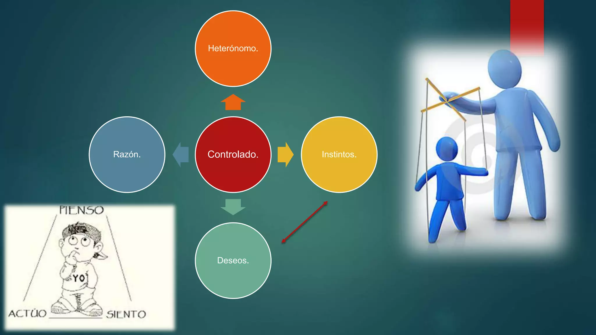 La persona humana | PPTX