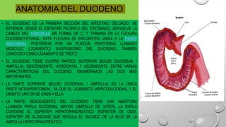 EXPOSICION OCTUBRE LAPARATOMIA EXPLORATORIA-----.pptx