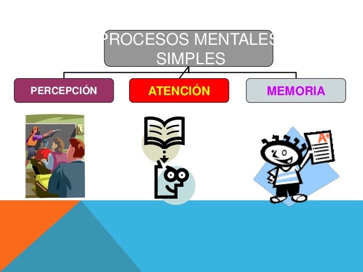 Procesos Cognitivos Lenguaje