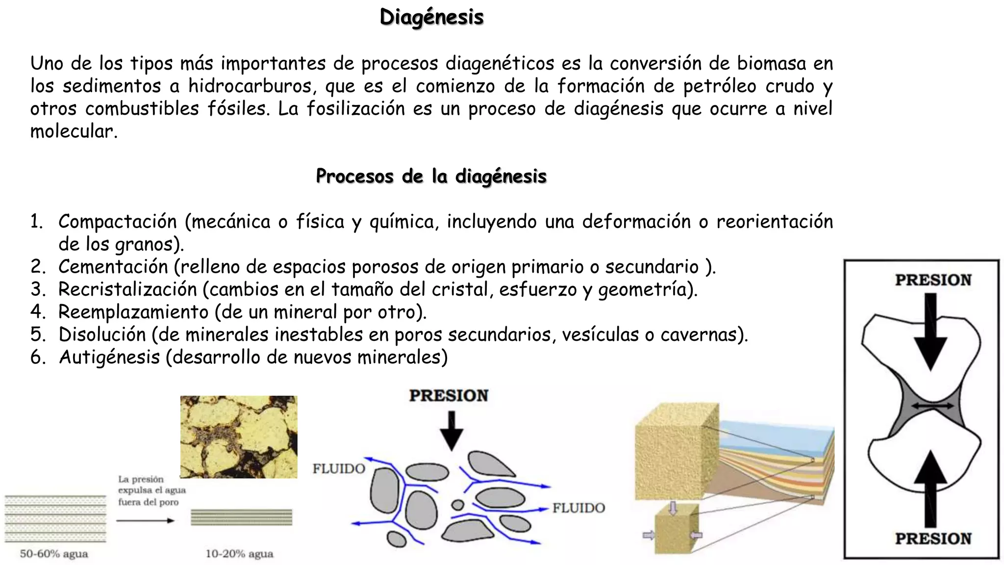 EXPOSICION PERMEABILIDAD Y DIAGENESIS.pptx