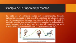 Exposicion principio científico del entrenamiento deportivo | PPTX
