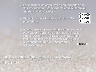 Exposicion quimica Grasas. | PPTX