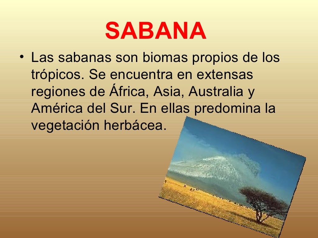 Exposicion sabana