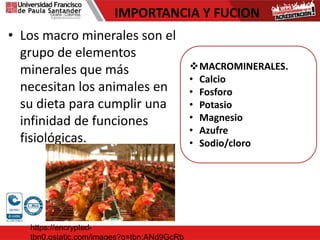 Macro y Micro minerales | PPTX