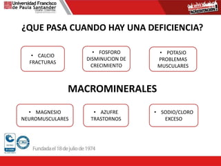 Macro y Micro minerales | PPTX
