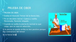 semiologia de miembros inferiores y tecnica medica | PPTX