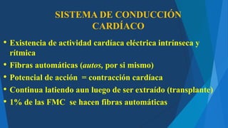 Exposición sistema cardiovascular morfofisiología | PPTX