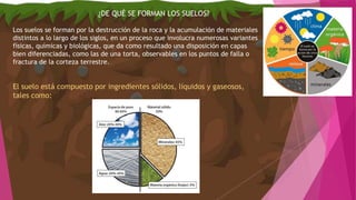 EXPOSICION SOBRE EL SUELO.pptx