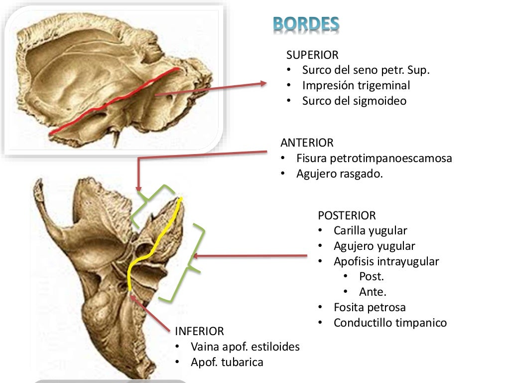 Exposicion temporal terminada