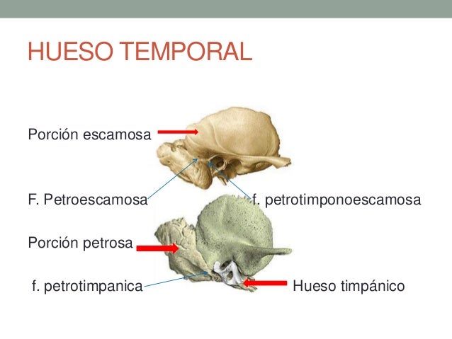 Exposicion temporal terminada
