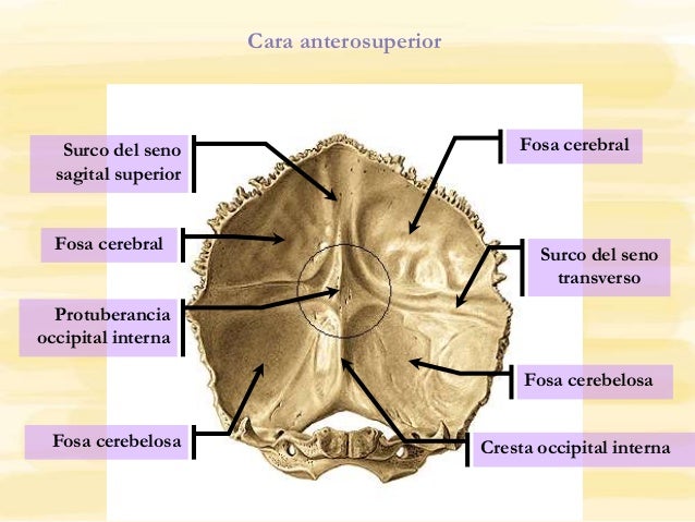 Exposicion temporal terminada