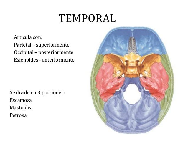 Exposicion temporal terminada