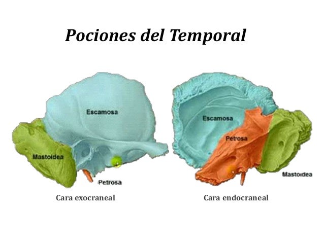 Exposicion temporal terminada