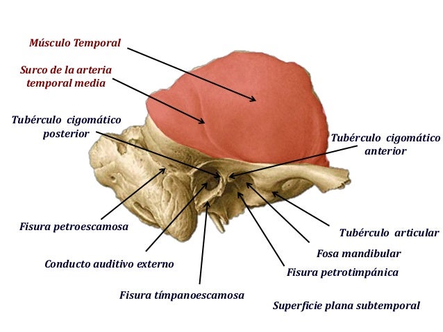Exposicion temporal terminada