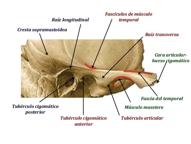 Exposicion temporal terminada
