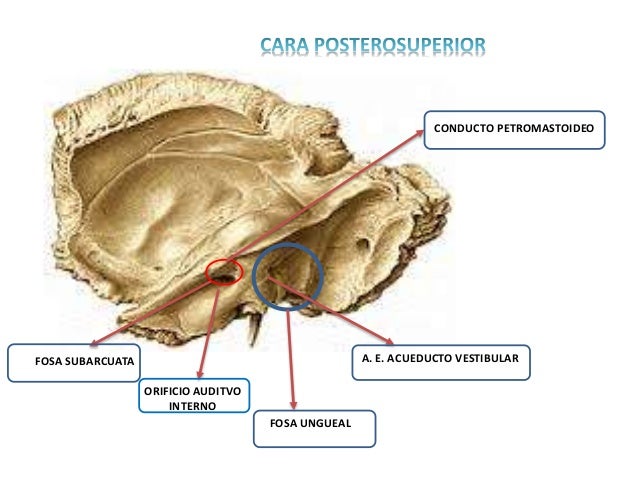 Exposicion temporal terminada