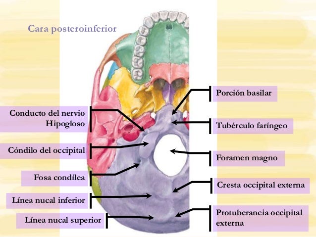 Exposicion temporal terminada