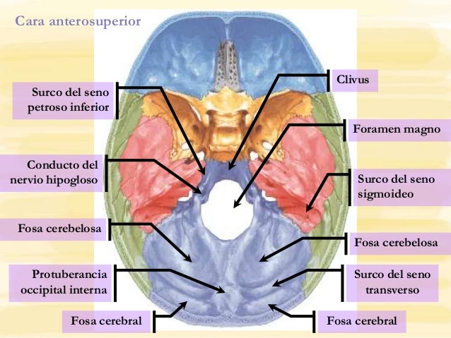 Exposicion temporal terminada