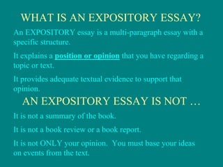 Expository Essay Presentation.pptx