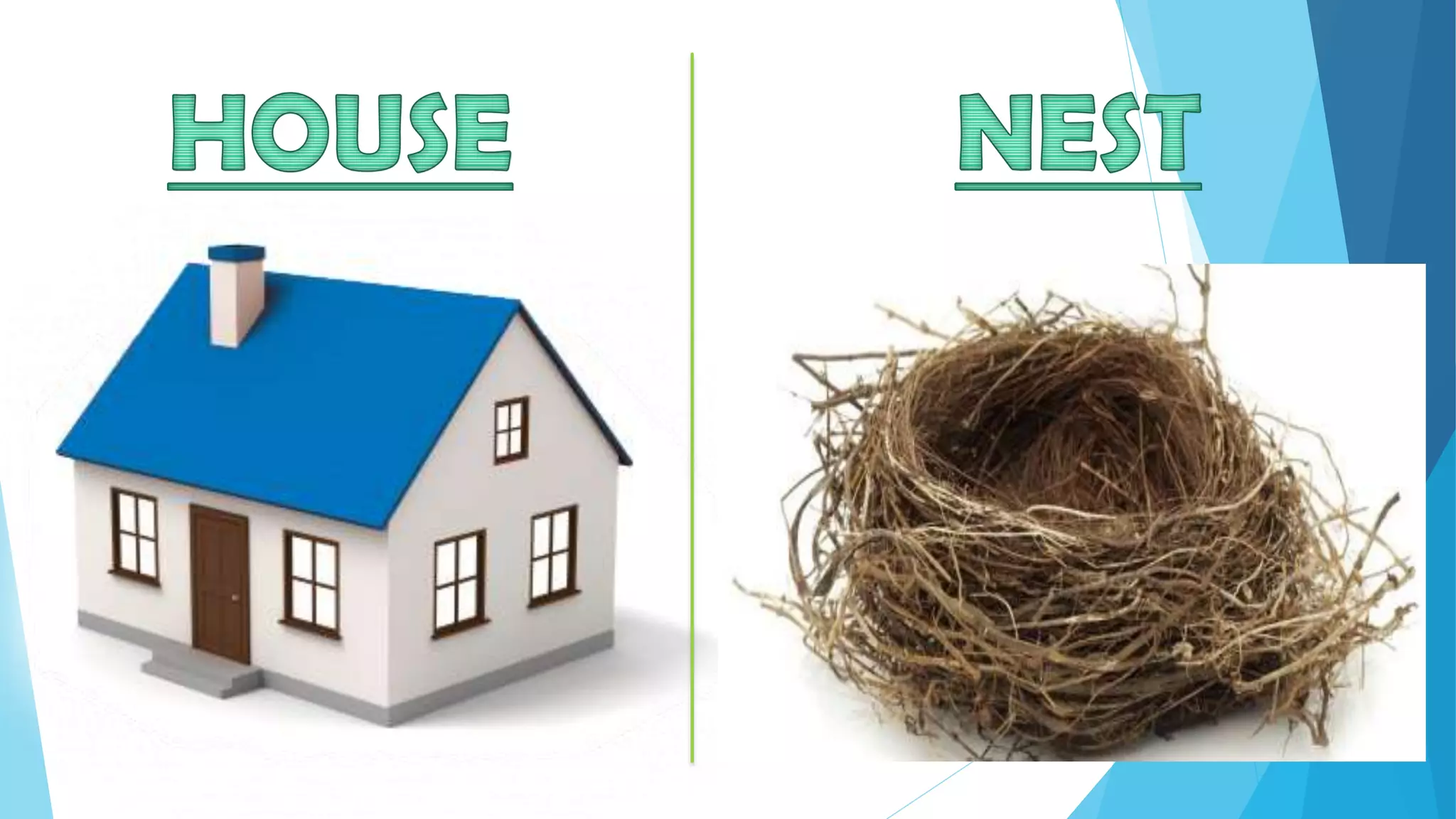 Expository text compare and contrast | PPTX