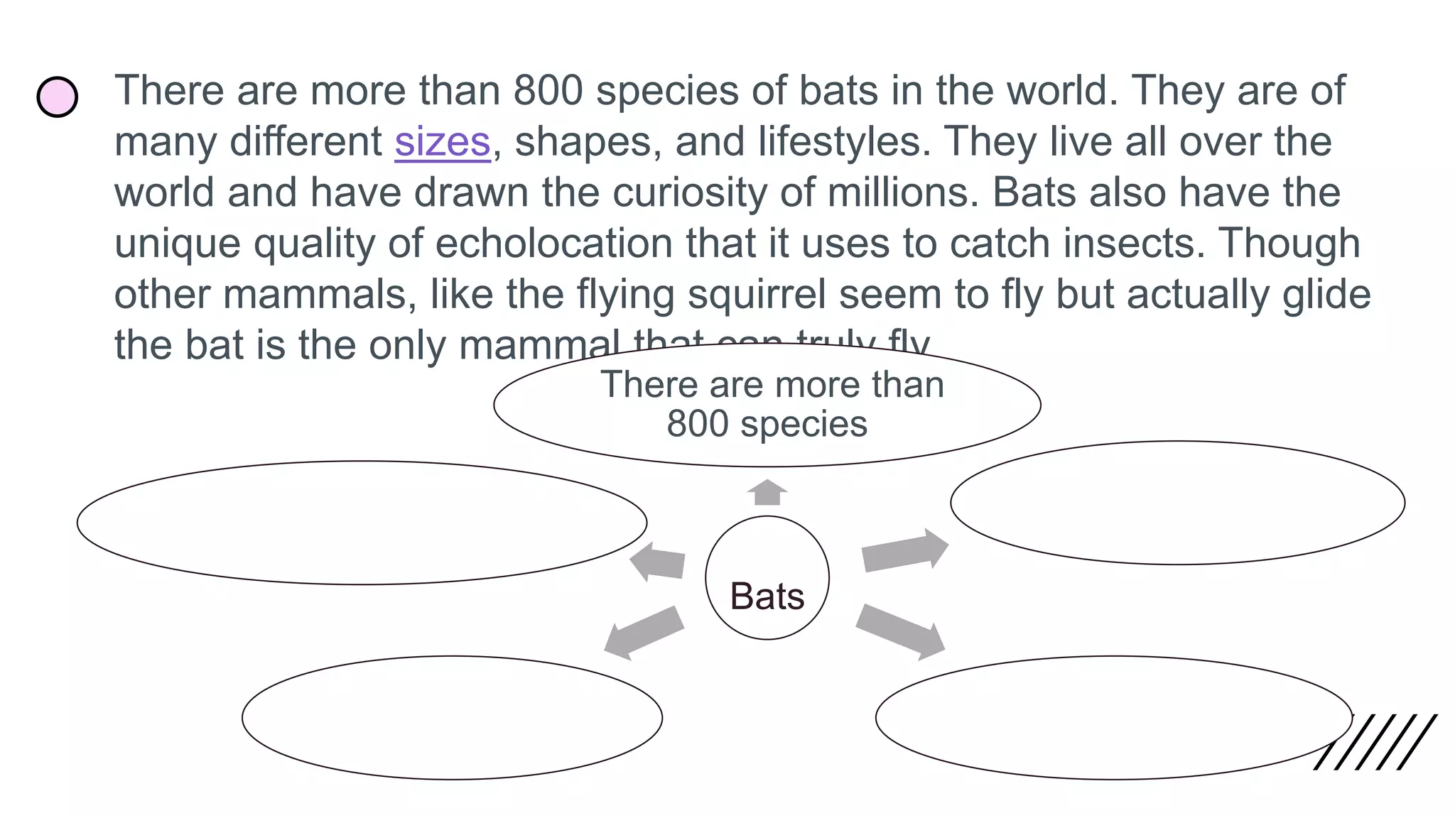 Expository text graphic organizer | PPTX