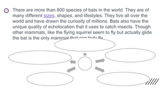 Expository text graphic organizer | PPTX | Birdwatching | Hobbies ...