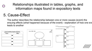 Expository text graphic organizer | PPTX