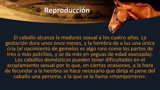 Caballos (EQUINOS) | PPTX