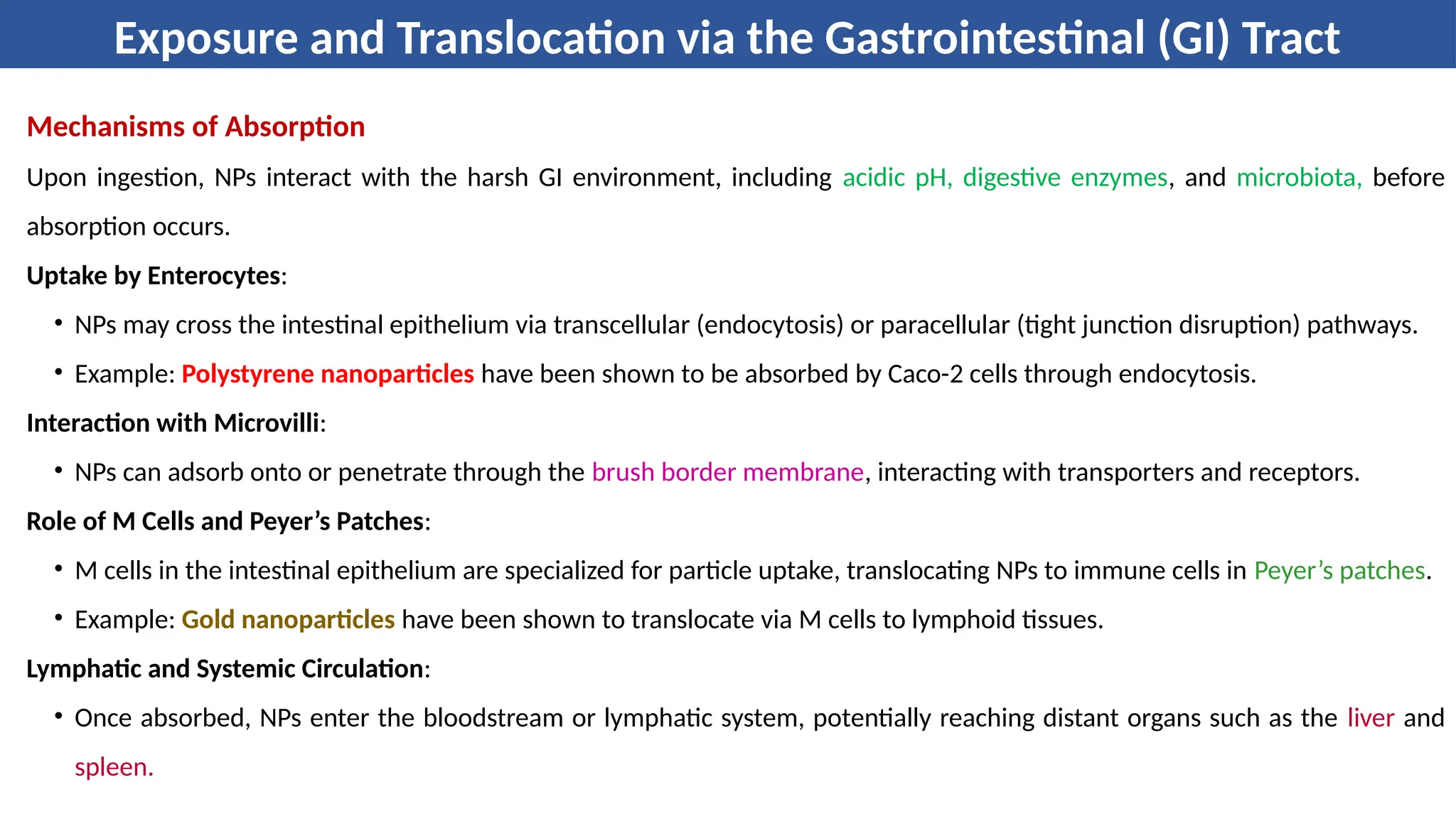 Exposure and Translocation of NPs Via Skin and GI Tract ...