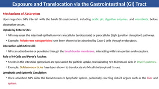 Exposure and Translocation of NPs Via Skin and GI Tract ...