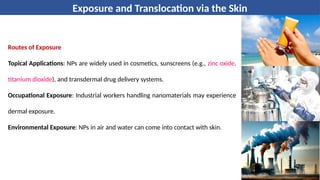 Exposure and Translocation of NPs Via Skin and GI Tract ...