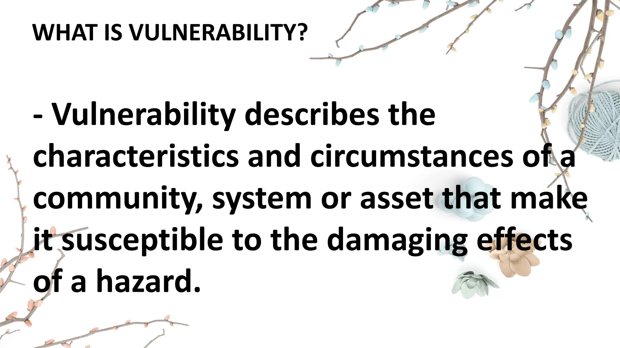 Exposure and VULNERABILITY IN DISASTER RISK REDUCTION | PPT