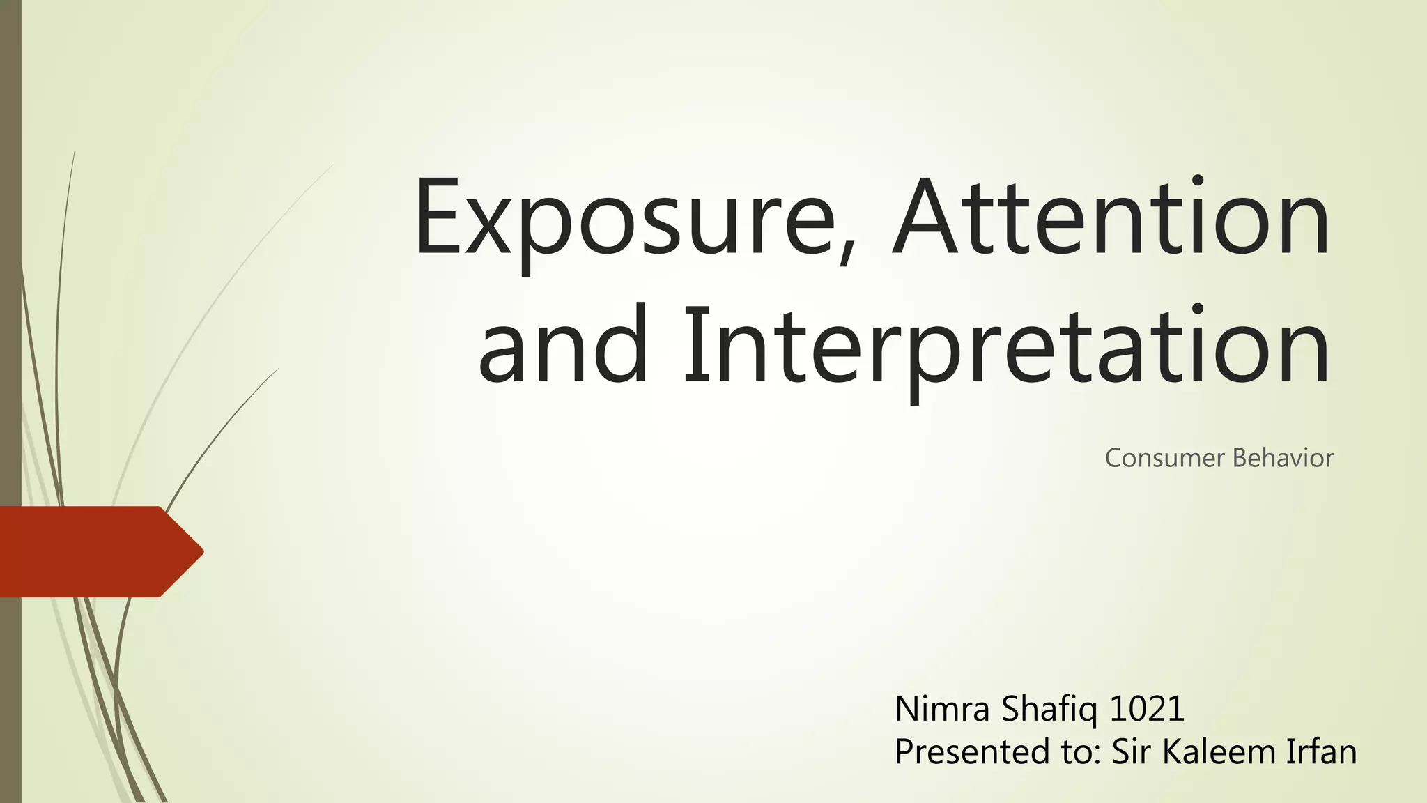 Exposure, Attention and Interpretation -Consumer Behavior | PPTX