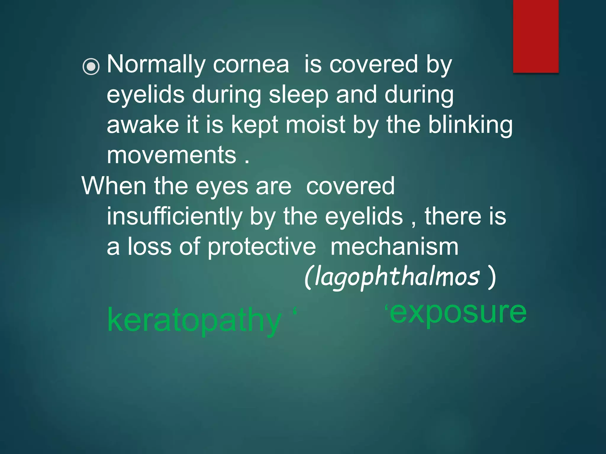 exposurekeratopathy.pptx