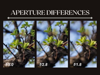 Exposure triangle $ types of photograpy | PPT